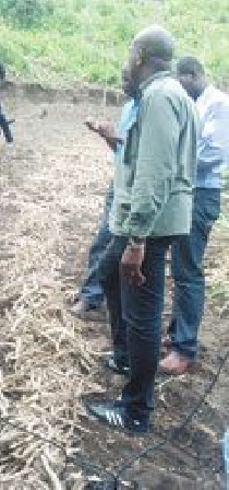 Agriculture Minister to get into arrowroot farming - Searchlight