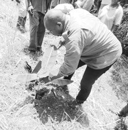 Operation Cut Back nears suspension, making way for full Operation ...