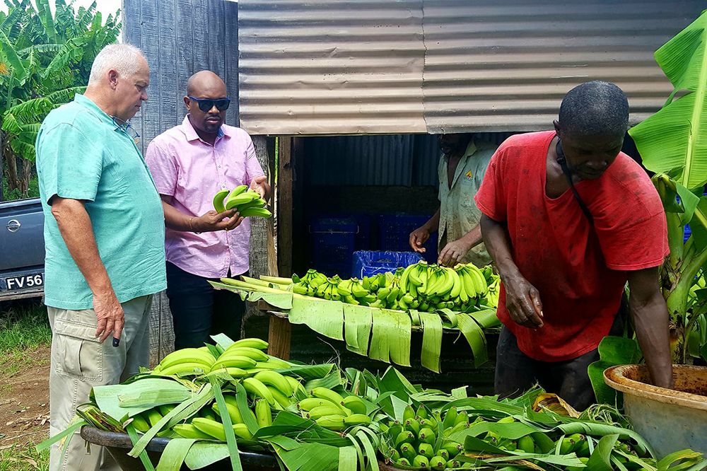 Farmers called upon to triple production - Searchlight