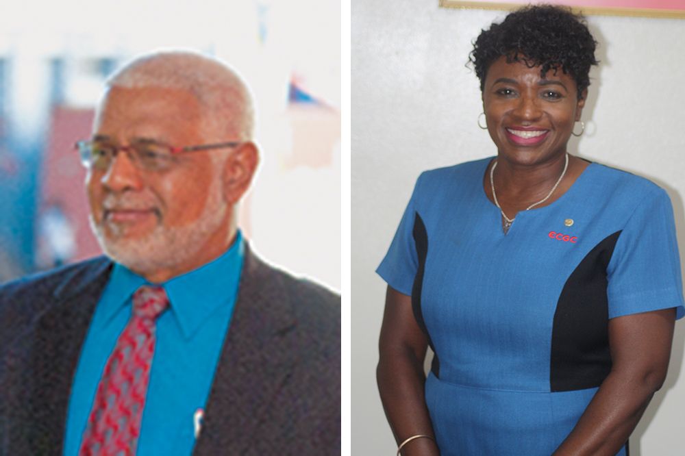 ECGC strengthens corporate social responsibility - Searchlight