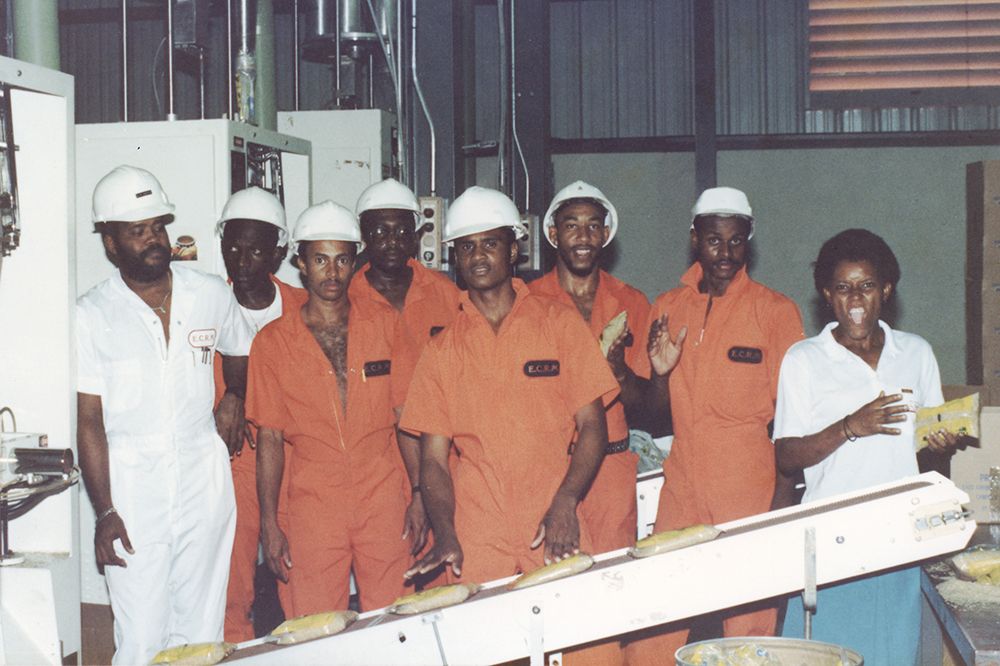 ECGC flour mill - A dream comes to life - Searchlight