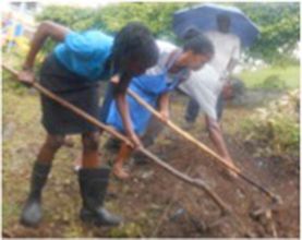 VINSAVE childcare students engage in agricultural practices - Searchlight