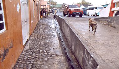 Redesigned Caratal bridge causing business to flood, says Georgetown ...