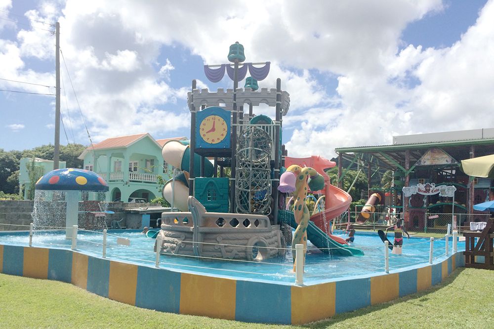 Backyard Adventures – A child’s dream brought to life - Searchlight