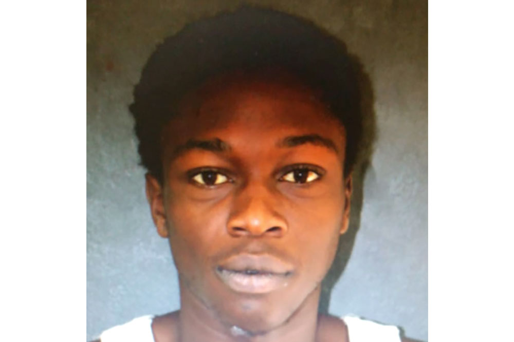 Teenager imprisoned for six years for weekend burglary spree - Searchlight