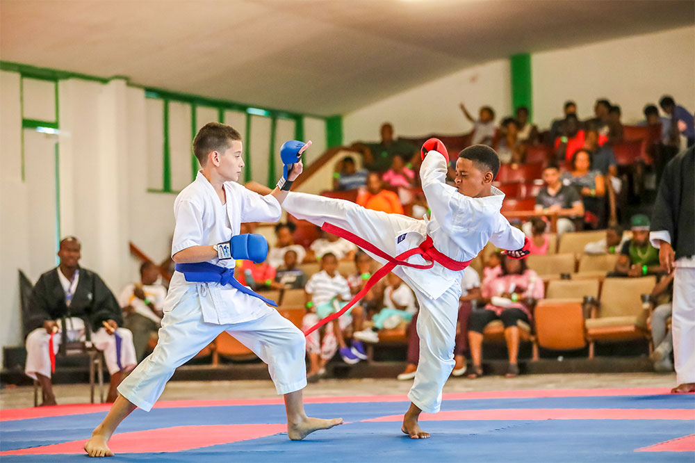 Seishin wins IKD national Karate club championship - Searchlight