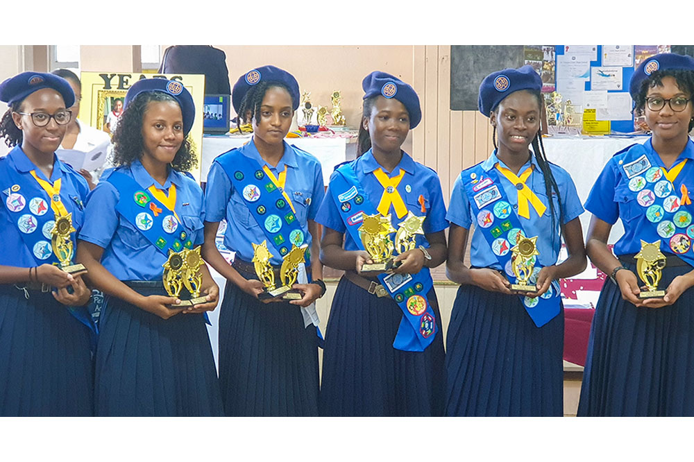 12 Girl Guides qualify for Chief Commissioner’s Award - Searchlight