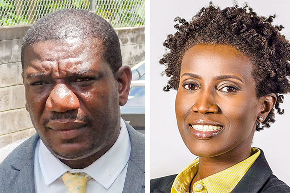 Bruce replaces Barnwell as senator for the NDP
