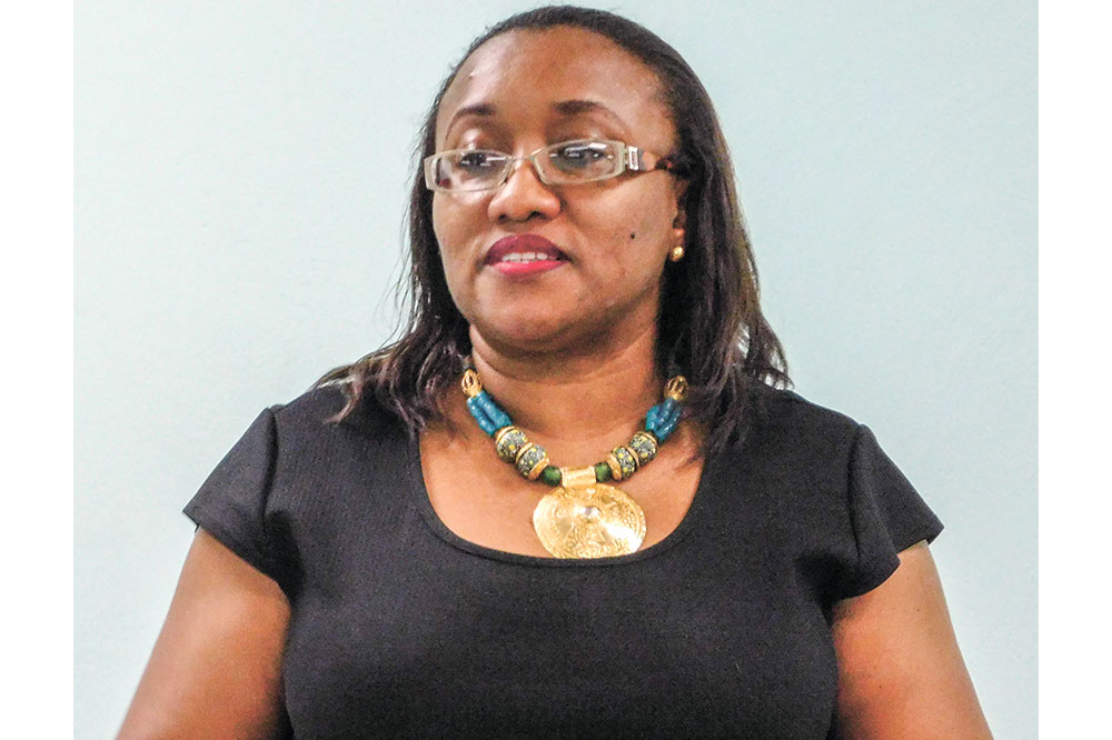 FAO technical mission pays a visit to SVG - Searchlight