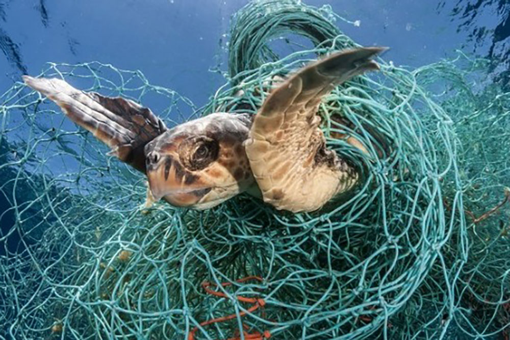 Ghost Fishing - A nightmare in the ocean - Searchlight
