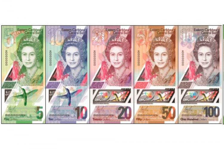 New EC polymer bank notes in circulation from next month - Searchlight