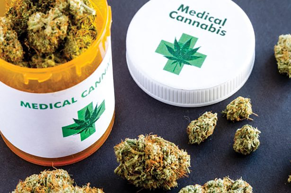 MCA set to launch safe cannabis production course - Searchlight