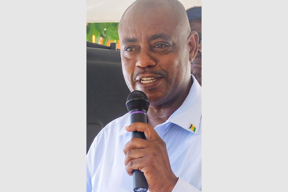 190 Children in State Protective Care - Searchlight