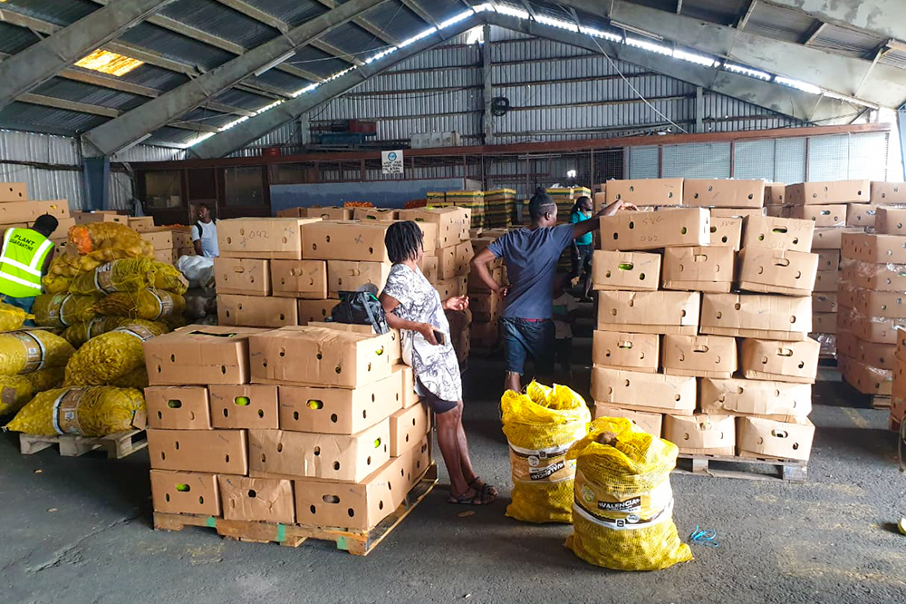 SVG’s food exports will not create local shortage - Minister - Searchlight