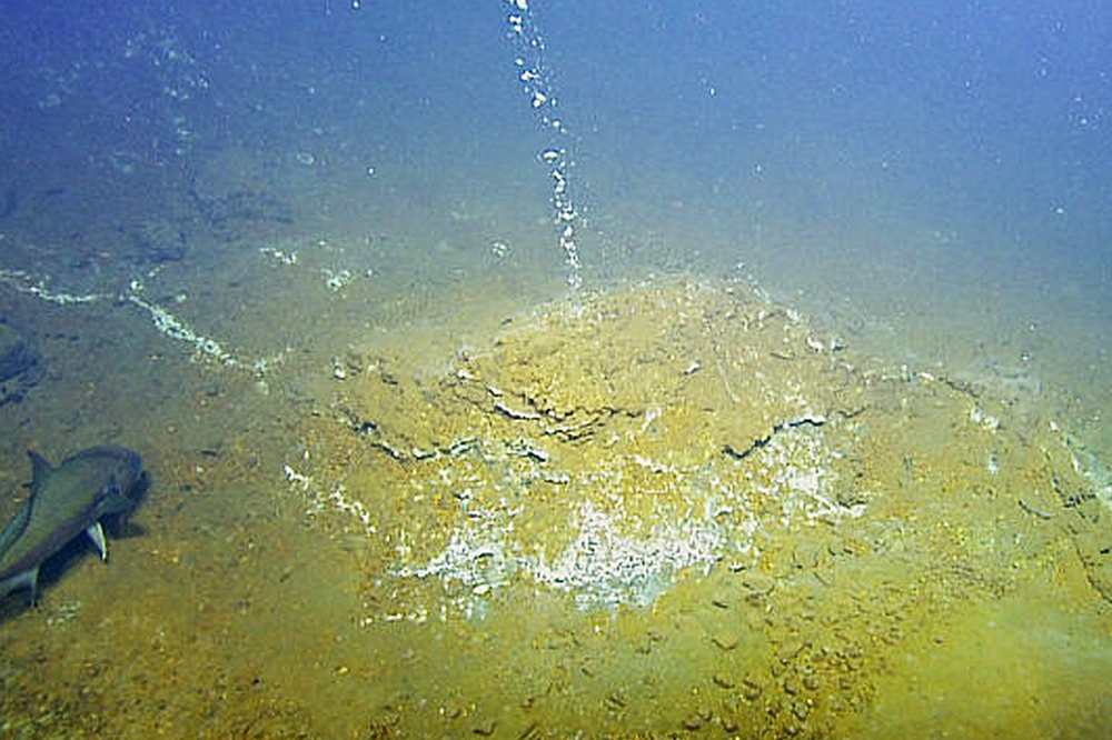 Kick 'em Jenny experiencing 'increased activities'