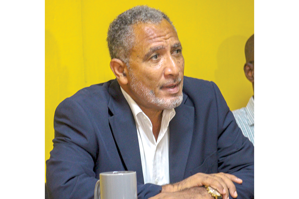 NDP calls on government to outline Covid-19 plan - Searchlight