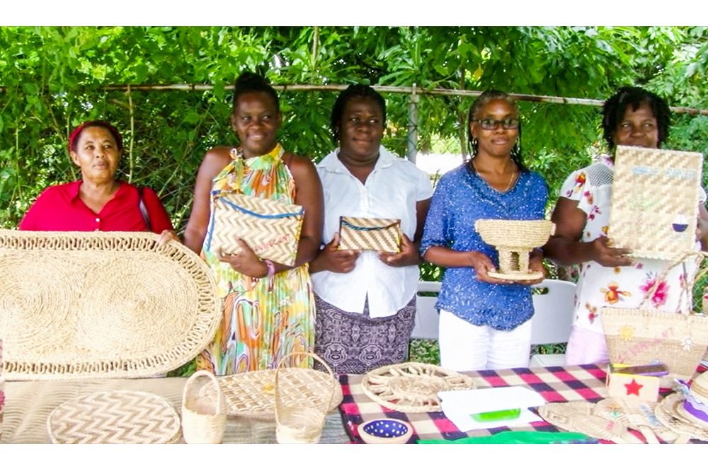 Craft women continue to retool their skills - Searchlight