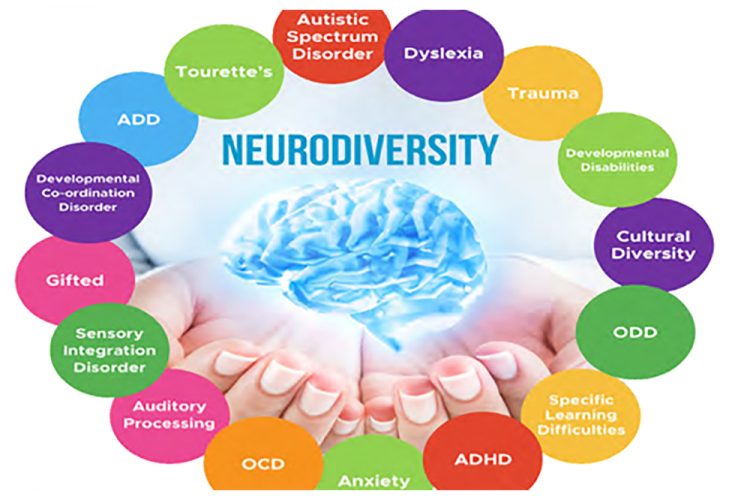 Educators complete neurodiversity training - Searchlight