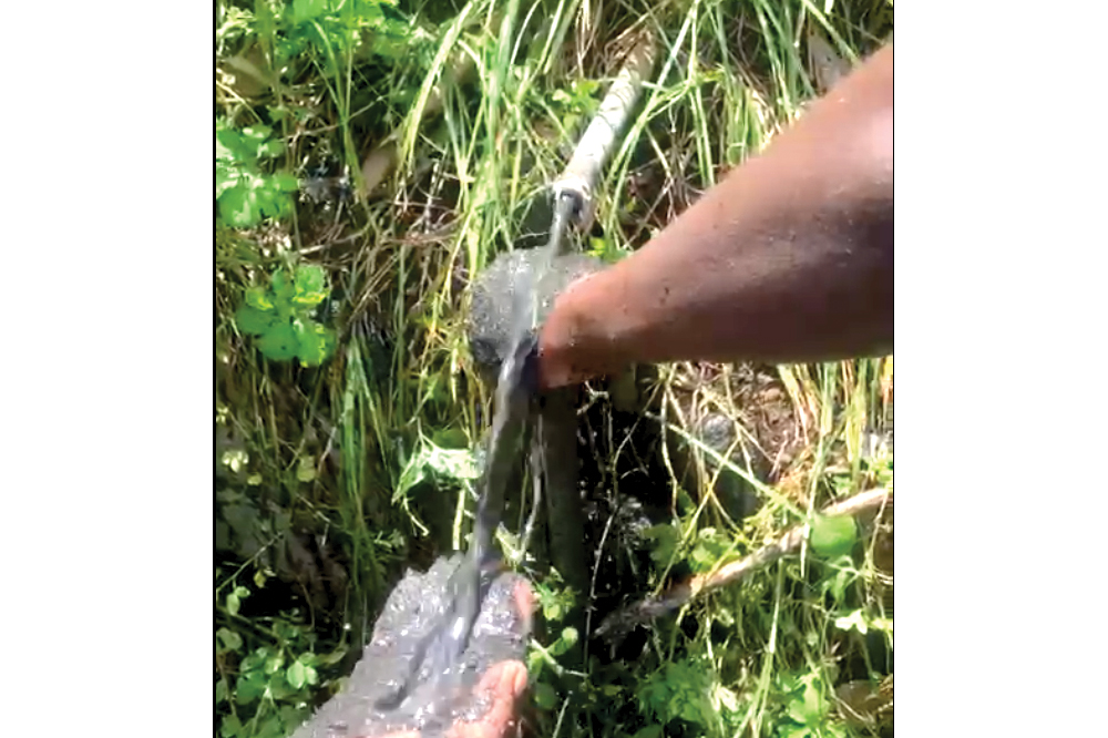 Owia residents stage protest - Searchlight