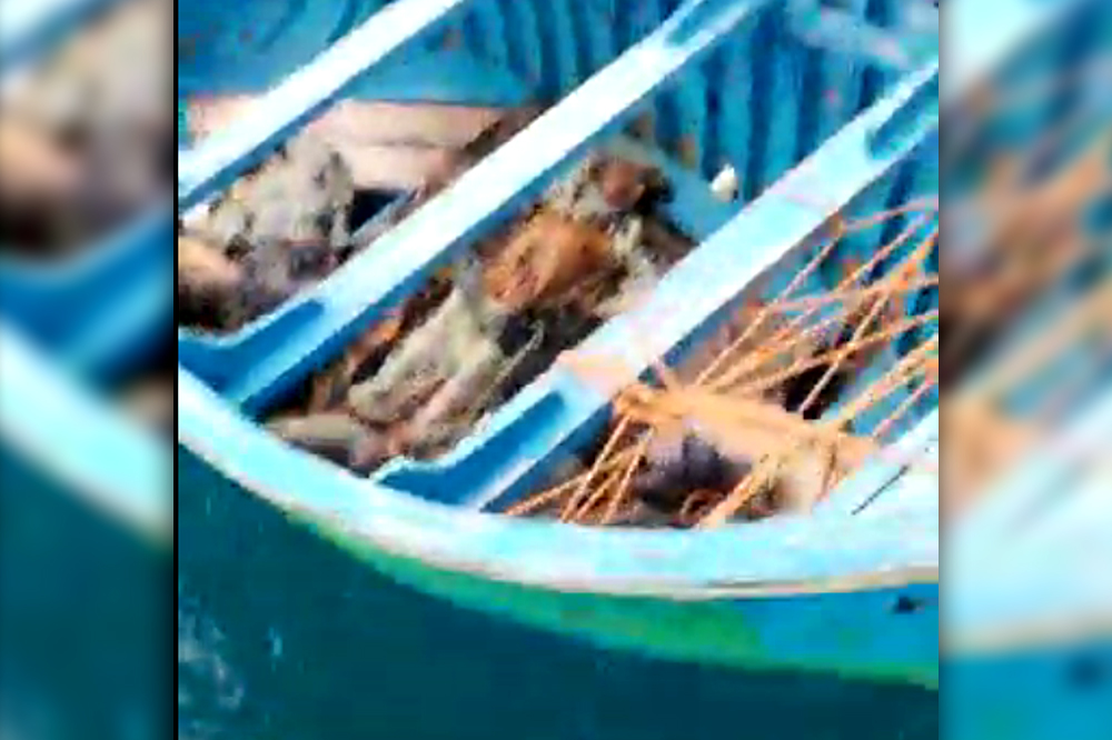 Dead men in boat drifts in Grenadian waters, police are investigating ...