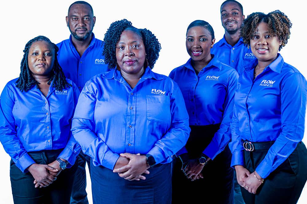 Flow launches new Business brand - Searchlight