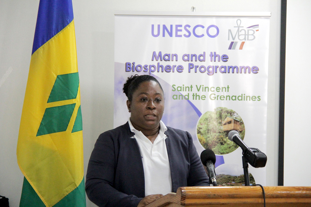 MAB project seeks UNESCO designation for Buccament Valley (+ Video ...