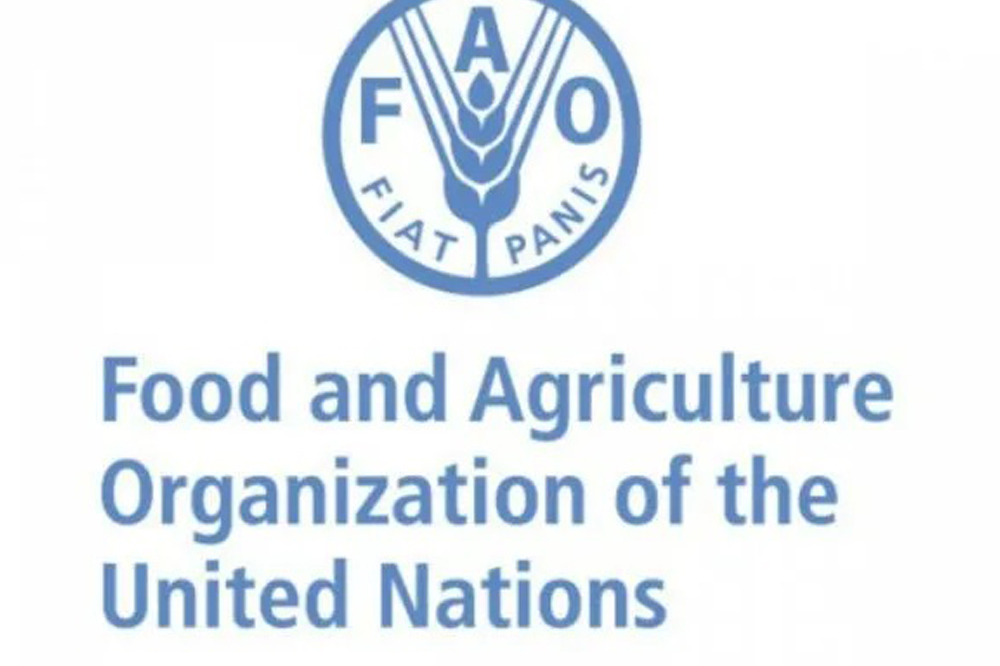 Insects, a future source of valuable animal feed in the Caribbean ...