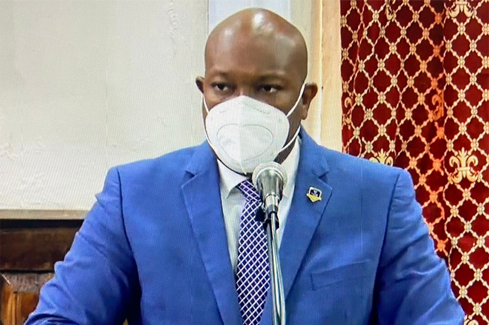 “FAO cannot be a renegade” says SVG’s agriculture minister - Searchlight