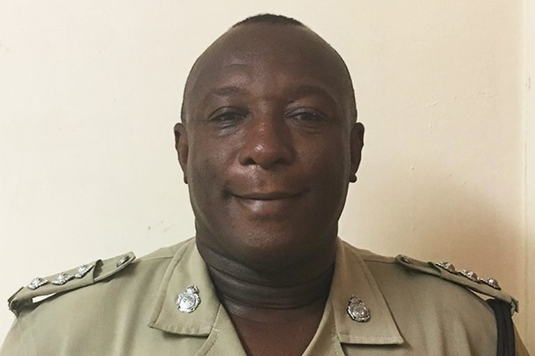 SVG records highest number of fires in 10 years - Searchlight