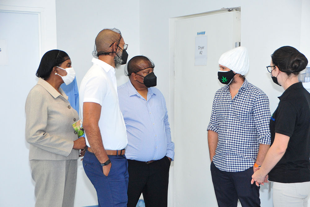 St Lucia Minister visits Medicinal Cannabis Industry facilities in SVG ...