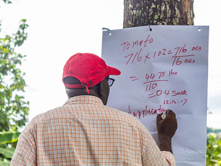 Agricultural Extension Services conducts field training in fertilizer ...