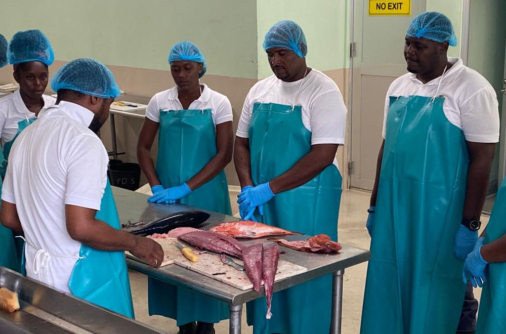 Eight fisherfolk trained in food safety to improve access to healthy ...