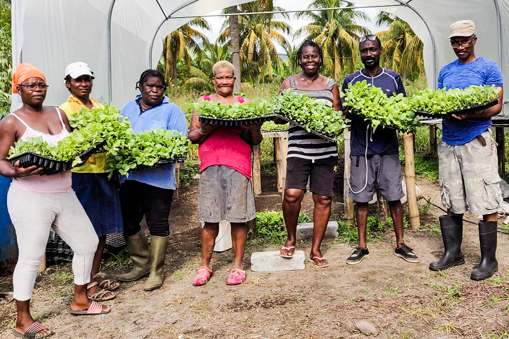 Farmers get support to revive and expand vegetable production at ...