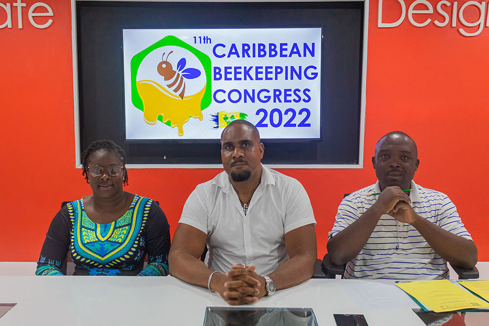 Beekeeping Congress to focus on decline of bee population