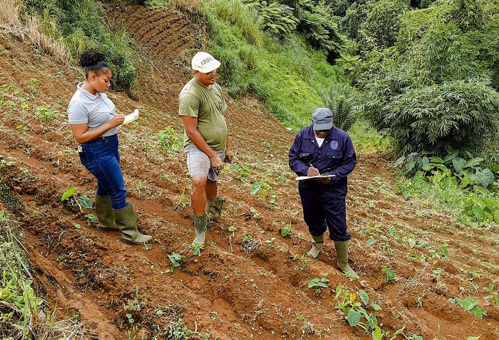 Farmers lose up $10,000 from excessive rainfall