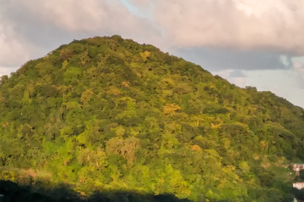 King’s Hill Forest Reserve, not without her challenges - Searchlight