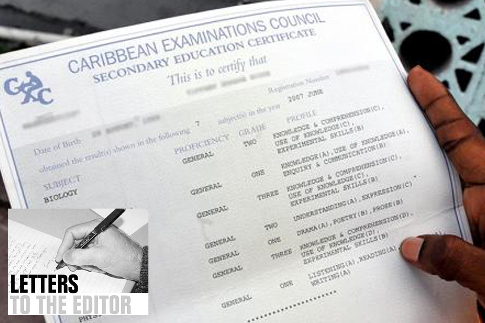 Give 15 plus CSEC passes their credit! - Searchlight