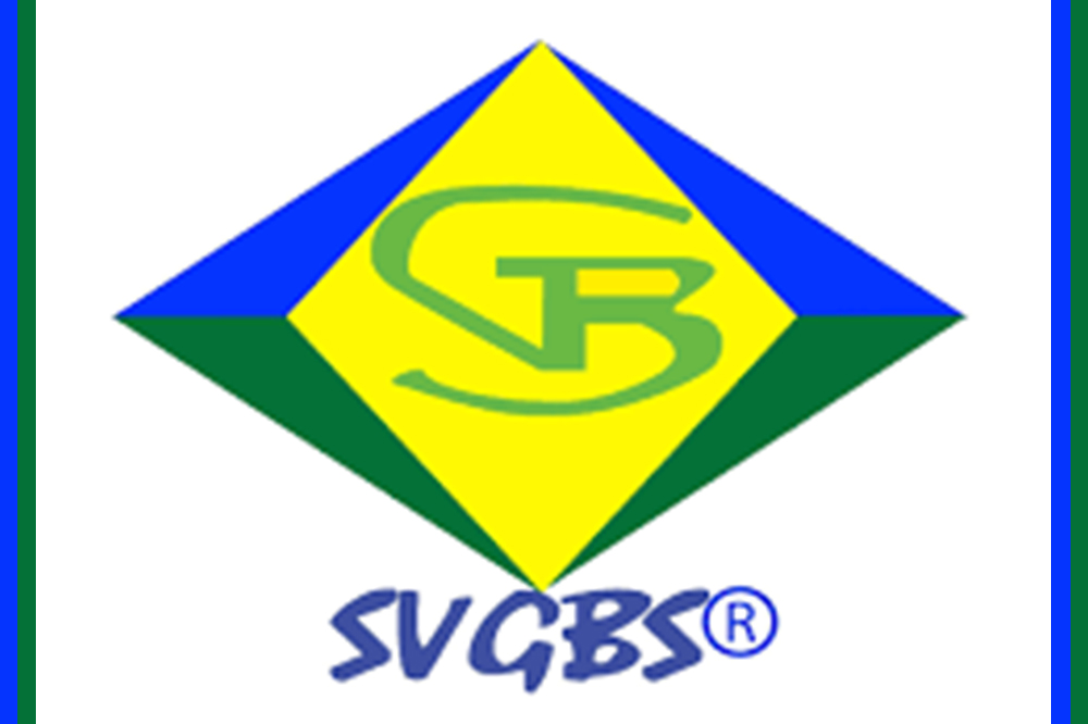 SVG Standards Bureau declares three new National Standards - Searchlight