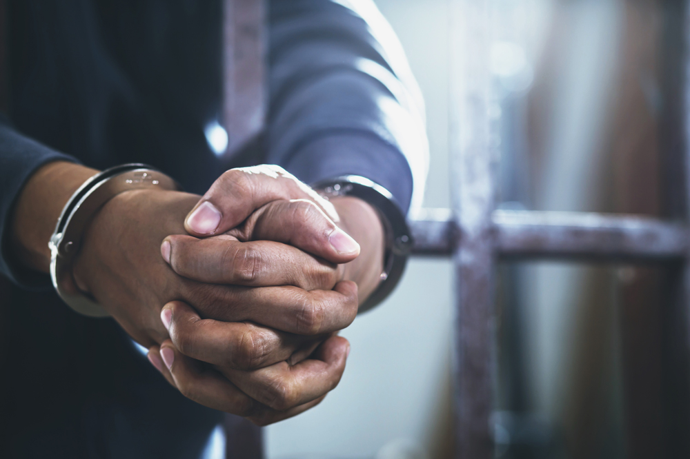 Two Georgetown men face separate charges of theft of animals