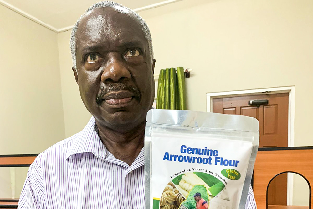 Arrowroot farmers to receive support until new factory is completed