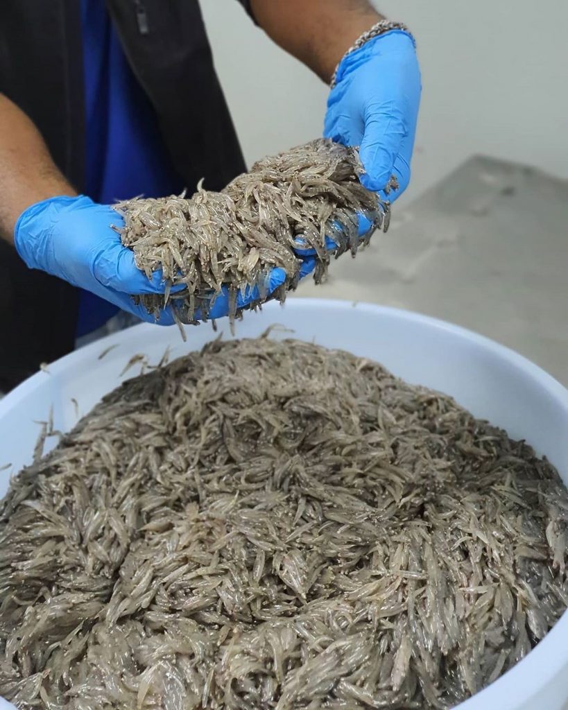 Year in Review: Struggles, triumphs and historical celebrations in 2022