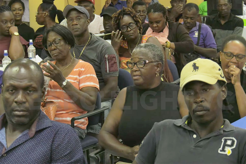 Growing demand for dasheen says Agriculture Minister (+ video)