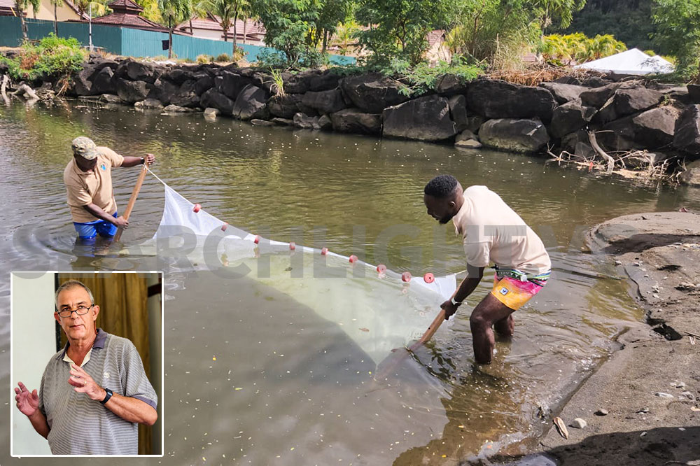 Retired educator and fish enthusiast taking inventory of river fish in ...