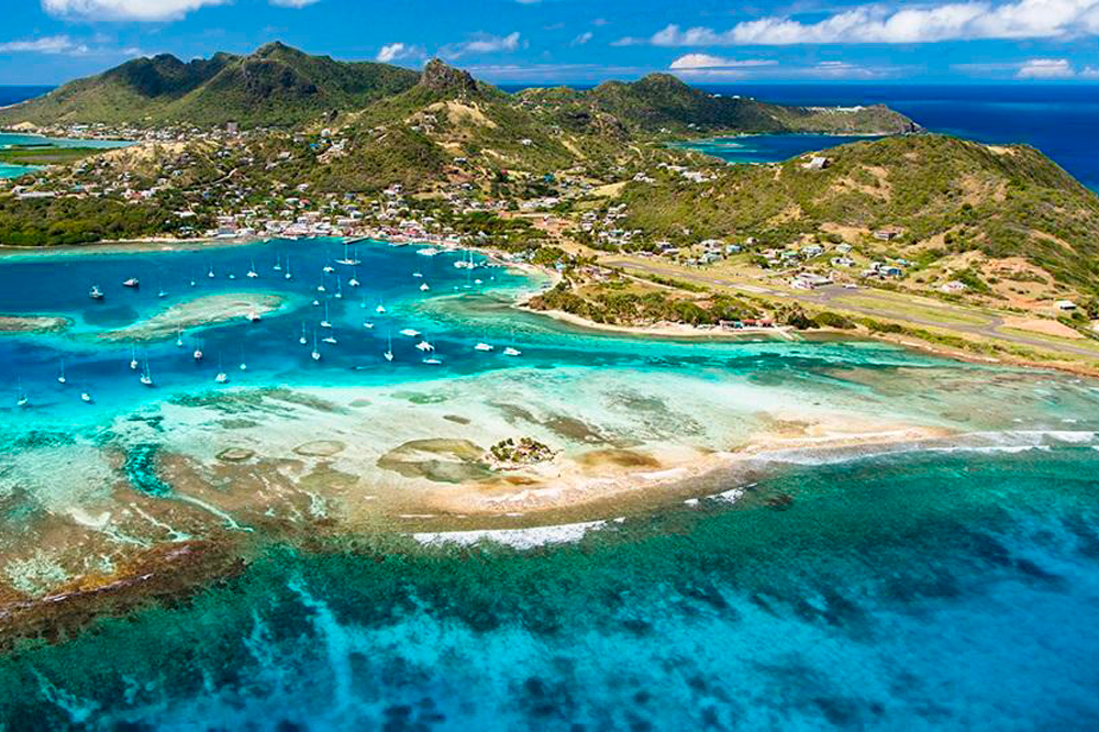 Union Island Environmental Alliance launches new stock