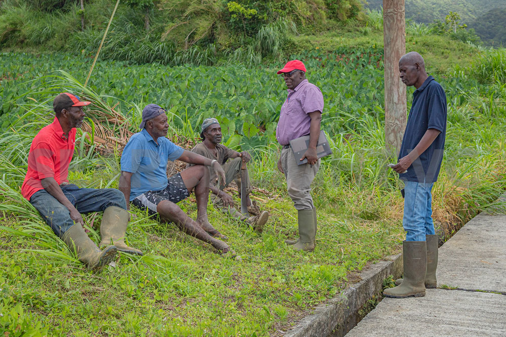 Farm Labour Assistance Programme assessment conducted in Region 2