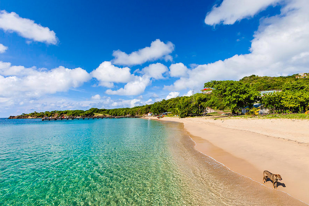 Mayreau gets soil and water conservation project - Searchlight