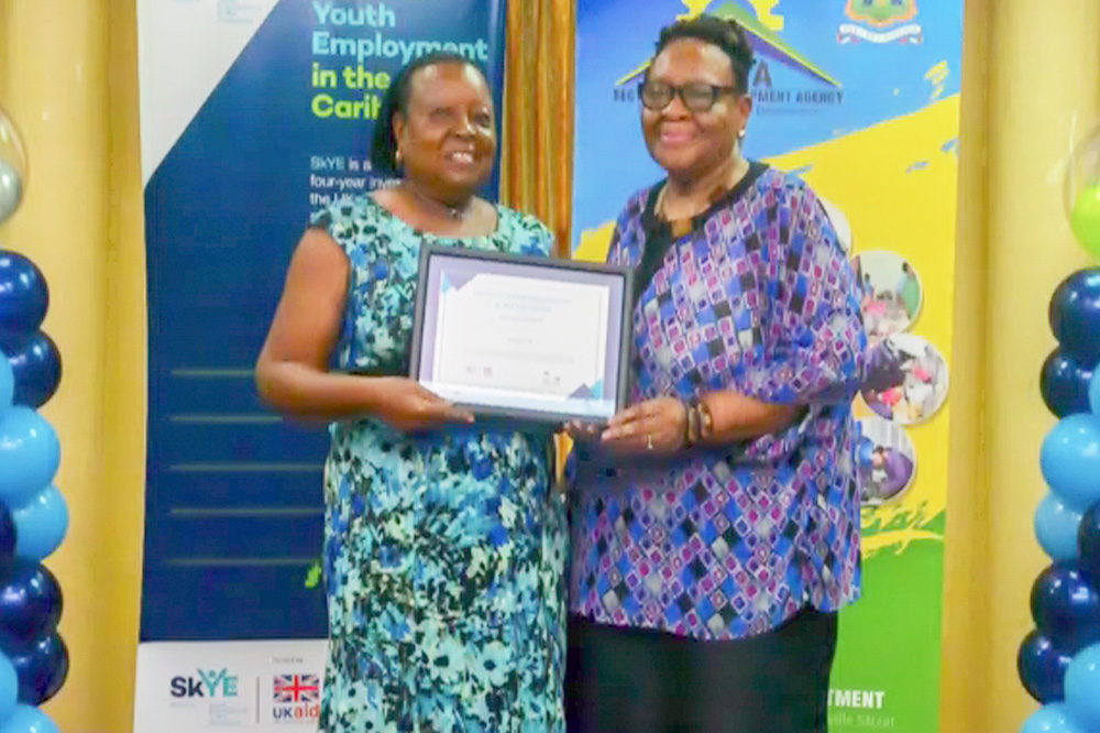 VINSAVE gets appreciation award from SKYE