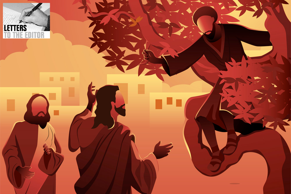 Let us adopt the spirit of Zacchaeus the tax collector - Searchlight