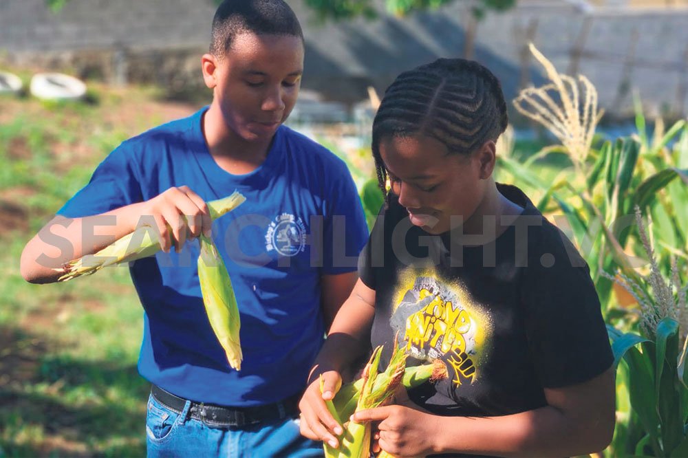 Agricultural Science teacher at Bishop’s College aims to grow the programme