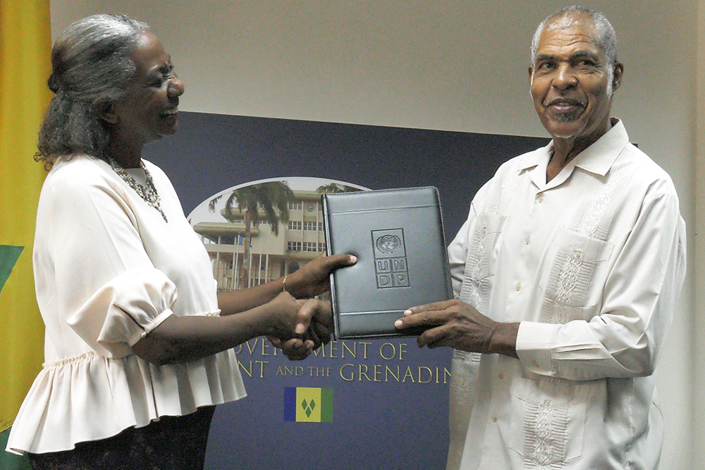 UNDP Representative presents Credentials